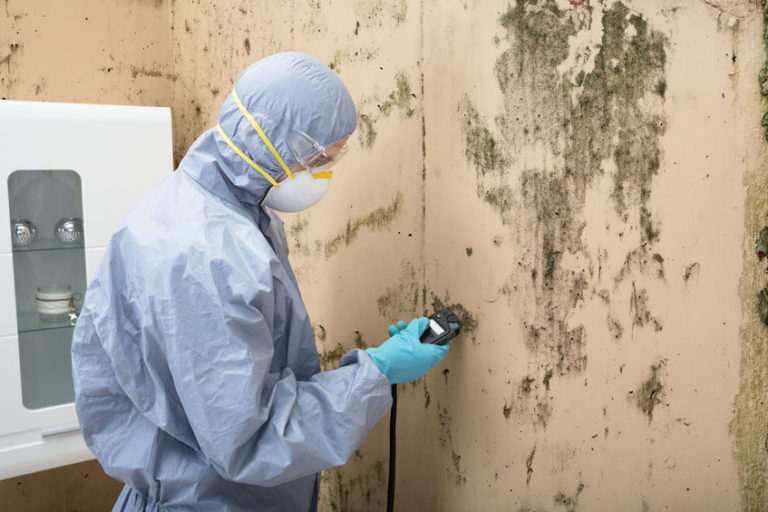 5 Common Causes of Mold and How to Prevent Them